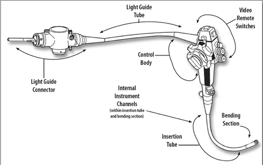 Endoscopes: Handle with Care!