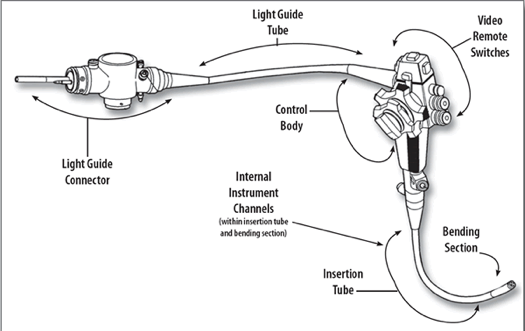 Endoscopes: Handle with Care!